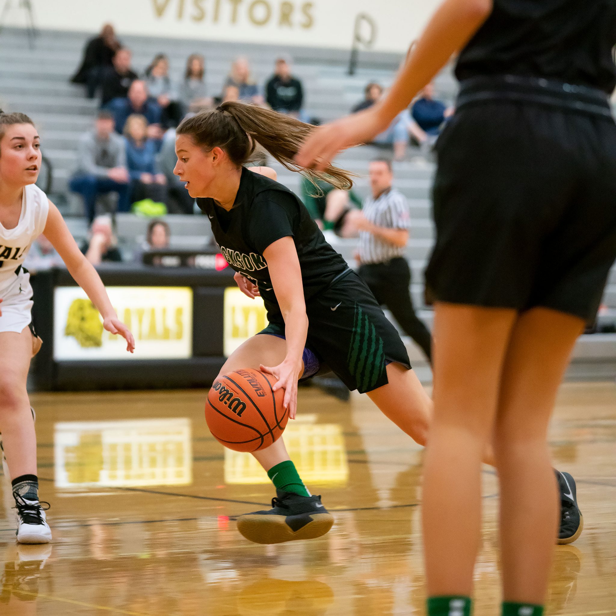 Jackson Timberwolves at Lynnwood High School: Girls Varsity Basketball ...