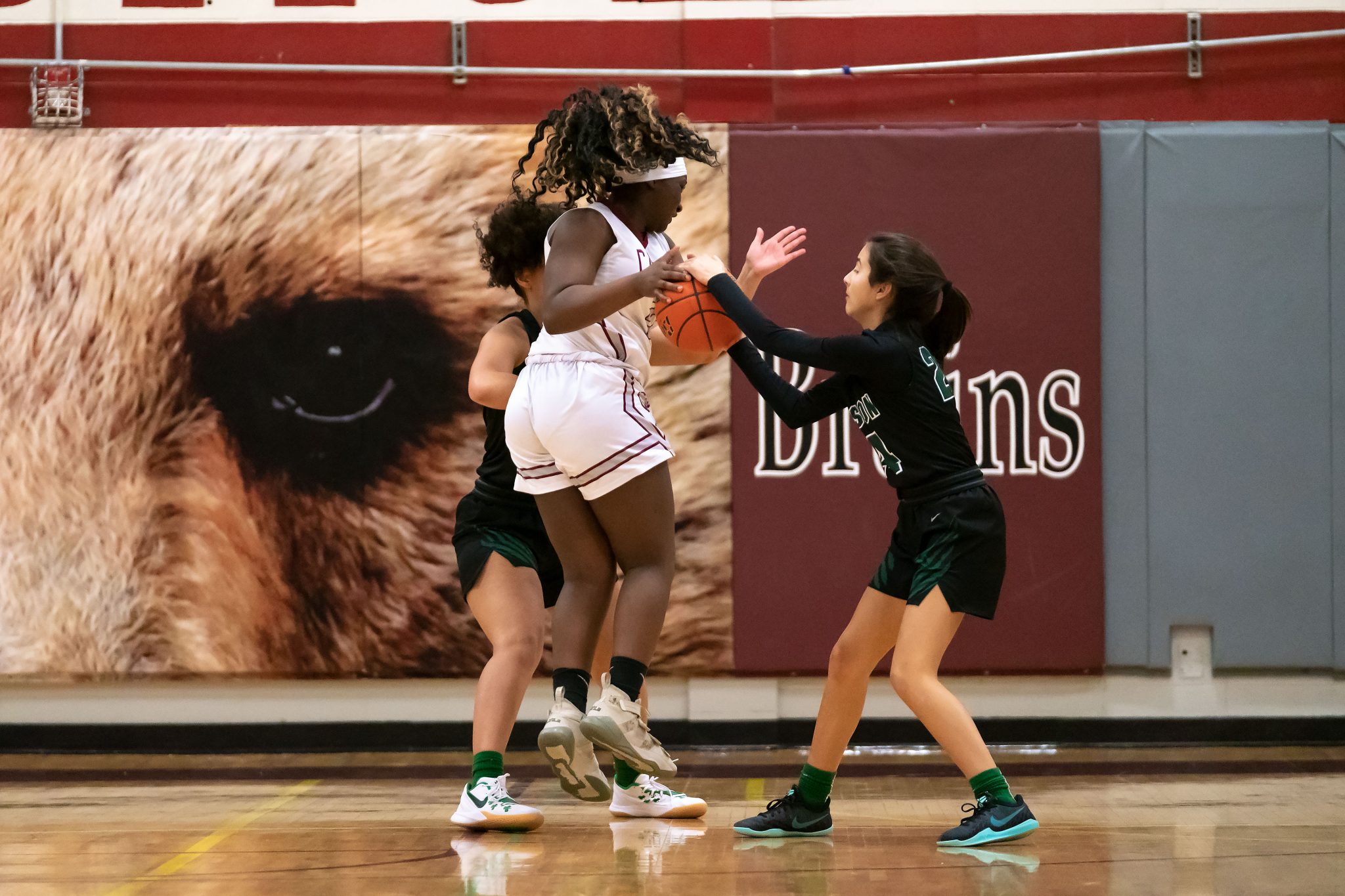 Jackson Timberwolves Varsity Girls at Cascade High School – Matthew ...